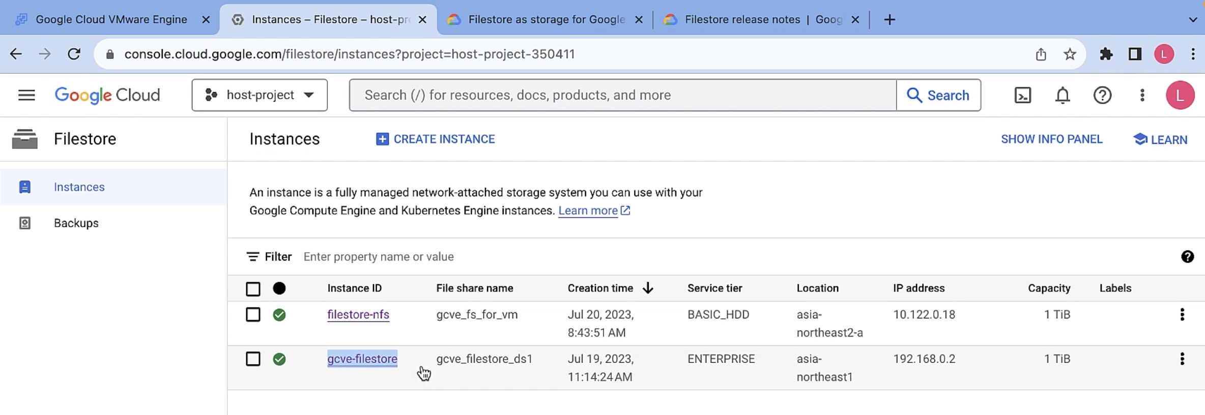 Use Google Cloud Filestore as external datastores for VMware ESXi hosts ...