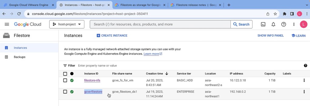 Use Google Cloud Filestore as external datastores for VMware ESXi hosts ...